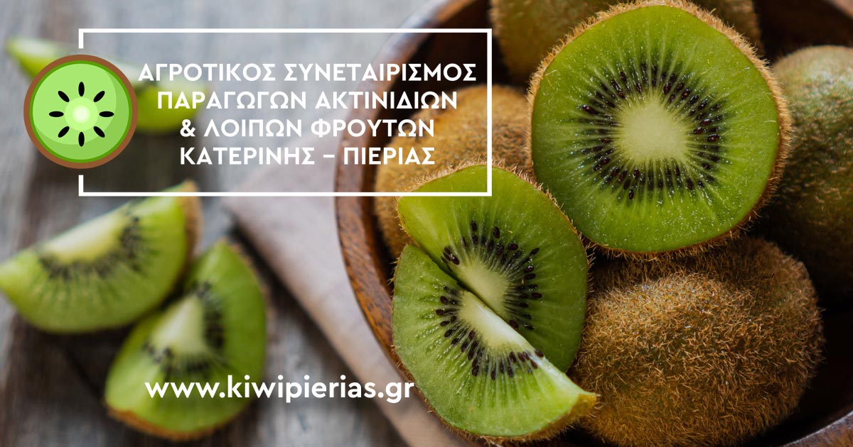 ΑΡΧΙΚΗ - ΑΓΡΟΤΙΚΟΣ ΣΥΝΕΤΑΙΡΙΣΜΟΣ ΠΑΡΑΓΩΓΩΝ ΑΚΤΙΝΙΔΙΩΝ ΠΙΕΡΙΑΣ